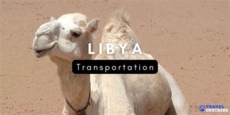 Review Top 5 Libya Travel and Transportation Services Recommended | by ...