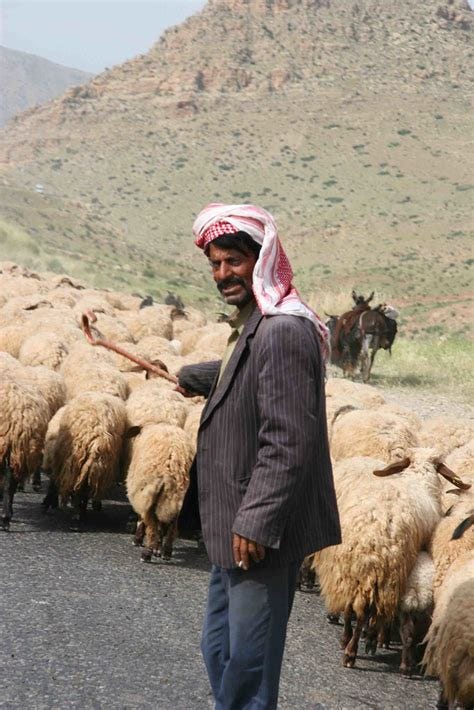 Hasankeyf’s Market Delights: 5 Must-Visit Farmers Markets | by ...