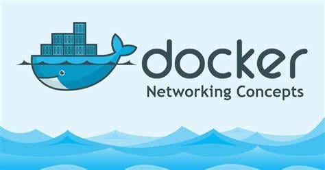 Unraveling Docker Networking: Day 5 Dive into Advanced Connectivity ...