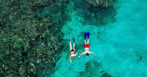 Top 5 Saint-Pierre Full-Day Tours for Unforgettable Experiences | by ...