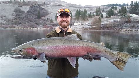 Top Guide to Fishing in Trout Lake, Washington: Tips, Spots, and ...