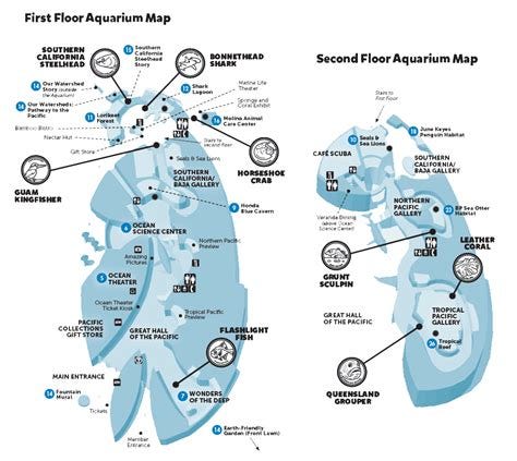 Top 5 Highlights of the Aquarium of the Pacific: A Detailed Map Guide ...