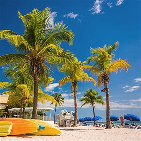 Discover 24 Degrees North Hotel in Key West, Florida: Your Perfect ...