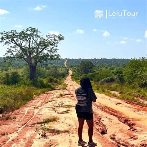 5 Best Kissama National Park Safari Reviews for an Unforgettable ...