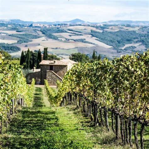 5 Best Private Brunello di Montalcino Wine Tours: Uncork Tuscany’s ...