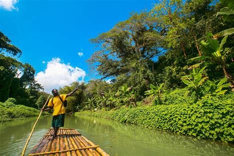 Review Top Black River Safari & YS Falls Guided Tour: An Unforgettable ...