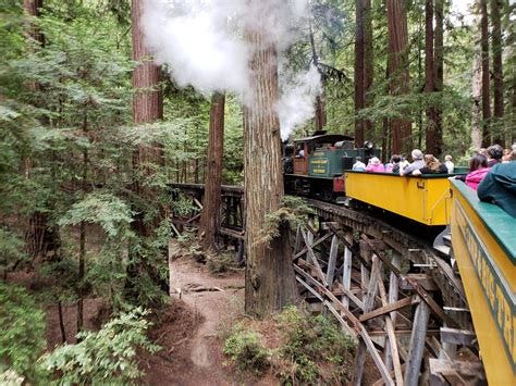 Top 5 Beach Train Rides from Roaring Camp through Redwoods to Santa ...