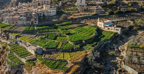 Top 5 Nizwa Car Tours: Discover the Best Experiences in Oman | by Matthewslwicm | Sep, 2024 | Medium