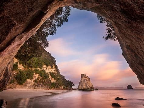 Top 5 Coromandel Day Trips: Discover the Best Adventures | by ...