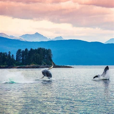 5 Unforgettable Alaska Ocean Wilderness Expeditions | by Hankspenny ...