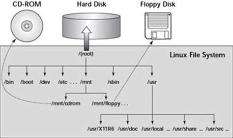 MOUNT A FILE SYSTEM IN LINUX | DEMO: SQUASHED HTB EASY BOX | by trustie_rity | Medium