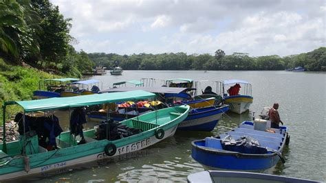 Top 5 Bluefields Private Sightseeing Tours | by Danicafairchild | Sep ...