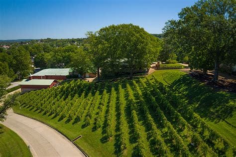 Review Top 5 Missouri Wine Tours & Tastings Recommended | by ...
