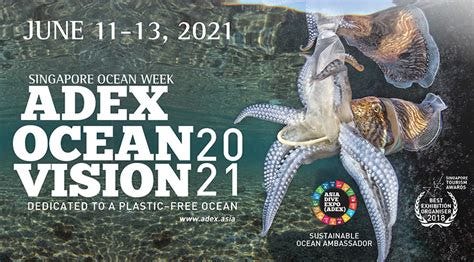 5 Best Ocean Vision: Show & Dance Night with Buffet Experiences | by ...
