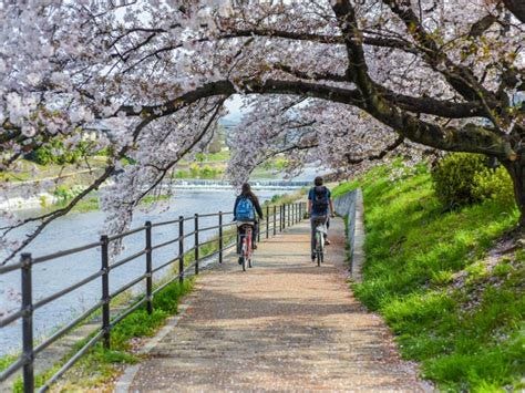 Review Top Kyoto Bike Tour: 5 Unforgettable Highlights You Won’t Want ...