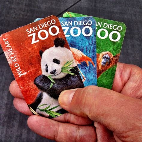 Top 5 How Much Are San Diego Zoo Tickets At The Gate | by ...