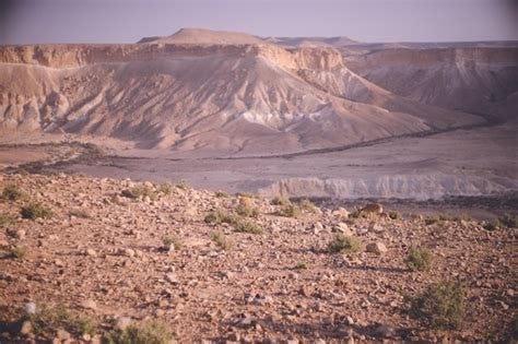 Top 5 Sde Boker Classes & Workshops: Your Desert Adventure Awaits | by Gwendolynbella | Jul ...