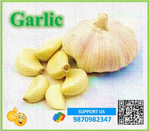 Garlic health benefits | Garlic Properties | Garlic Medicinal ...