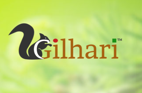 Ready to Move JSON Data In and Out of Your Relational Databases? Call Gilhari! | by Ashmita ...