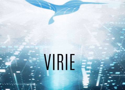 The Most Advanced Platform of Virie Market | by Anne Rainwater | Medium