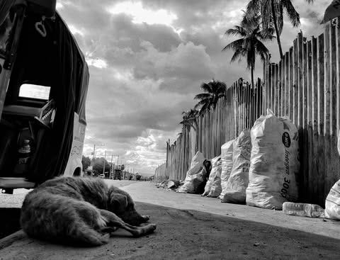 Unspoken: What animals taught me without a single word | by honeymay ...