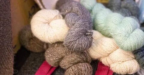 Alpaca Fiber Market has Huge Growth by Top Industry| AHA Bolivia, New ...