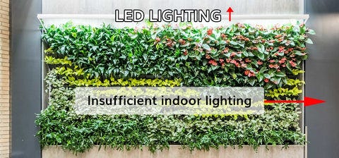 Indoor Plant Wall LED Plant Light Lighting Solution | by Vanqled | Jul ...
