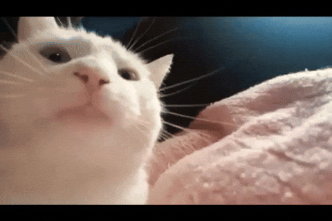 Ready Set MEME!. Hey, you! Yeah, you ! | by Shelley Mae | Medium