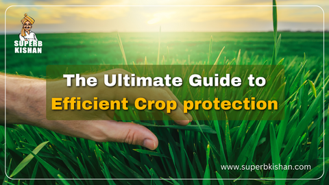 The Ultimate Guide To Efficient Crop Protection - shruti jain - Medium
