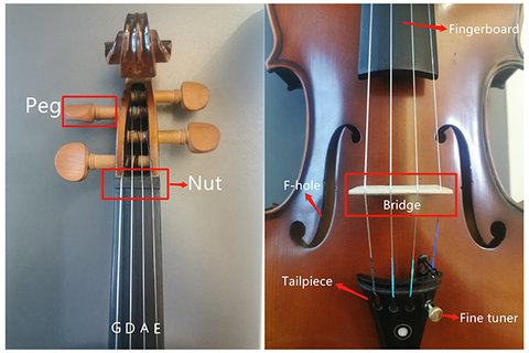 The Best violin Beginner’s Guide: Strings, Bridges, and Tuning | by ...