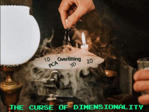 The Curse of Dimensionality!. In all Data Science datasets that I’ve ...