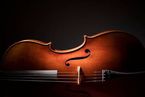 Find the Perfect Cello Strings Set with This Easy Guide | by ...