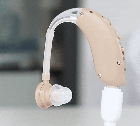 Vietnam Bluetooth Hearing Aids Market Behind the Scenes Techniques for Deep Understanding of ...