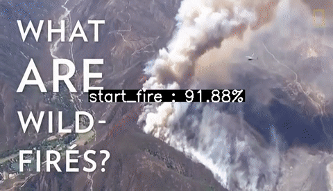 Mini Project: Data Science Project on Detecting Forest Fire | by ...