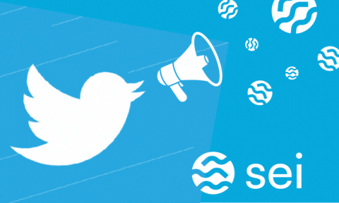 Seven Twitter tips for Sei ♒ Ambassadors | by Oksigen | Medium