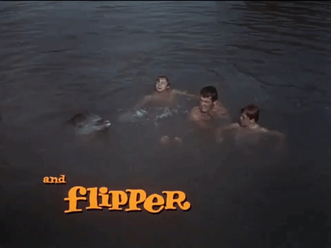 Review of Flipper — Flipper and the Mermaid | by Sam Ursu | Sam’s TV ...