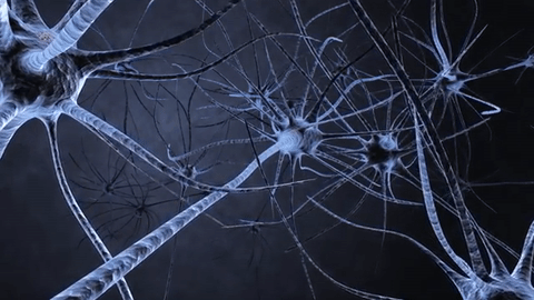 Deep Neural Networks(DNN) Part 1 : Representation and Forward ...