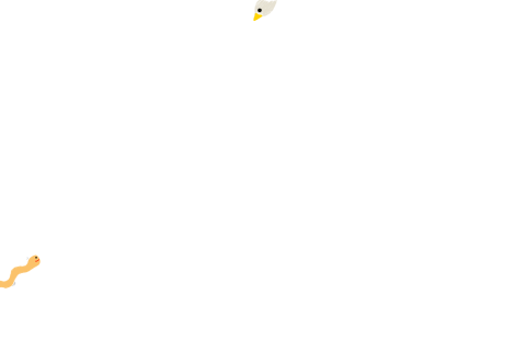 A smart worm escapes the early bird | by Vishié | Age of Awareness | Medium
