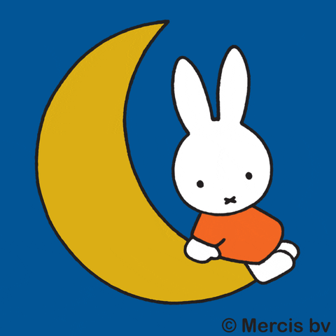We Love Miffy, Too. She’s Dutch, she’s big in Japan, and… | by GIPHY ...