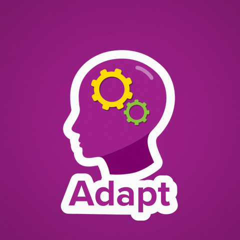 Adaptive Learning for Time Series Forecasting | by Reza Yazdanfar ...