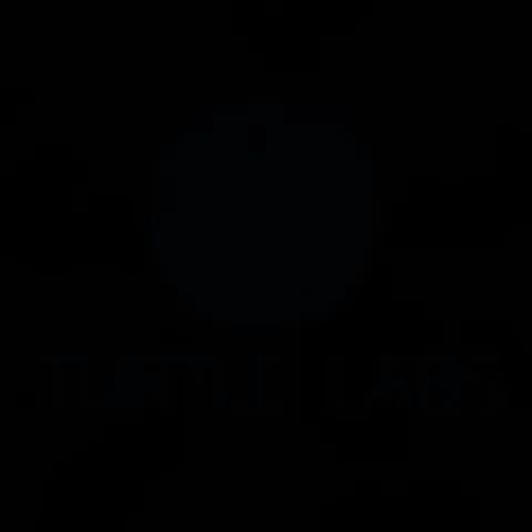 Turtle Labs and SQUAD Forge Alliance with SafeSwap: Revolutionizing Cross-Chain Token Swapping ...