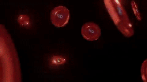 Get up to 12 OP tokens on Slingshot🎁🎉 | by Airdrop Adventure | Medium