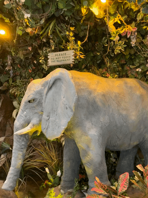 Embracing Curiosity in Unlikely Places - The Daily Cuppa - Medium