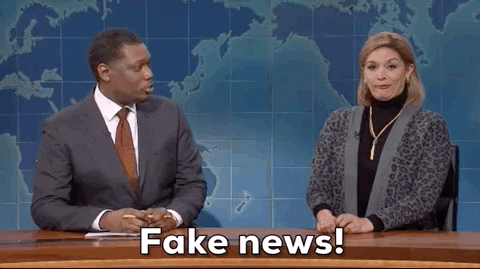 The Bias of Social Media: How Fake News Has Become Mainstream in the ...