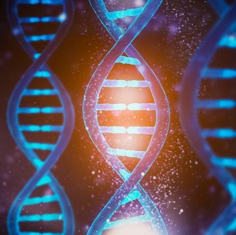 what do we know about our genome? | by Manya Bhatia | Medium