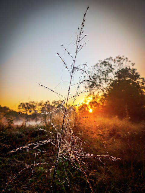 Good Enough?. This past week Dr. Erin and I discussed… | by Tim Bindner | Medium