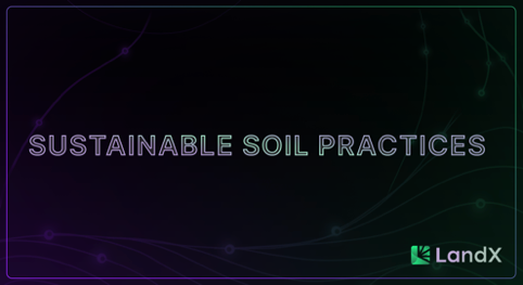 LandX: Sustainable Soil Practices and DeFi | by LandX | LandX Blog
