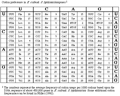 Review a research article #10: Short tRNA anticodon stem and mutant ...
