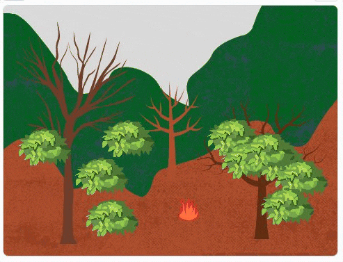 Nature Returns — Moonhack 2021. Moonhack 2021 is a week celebrating the ...
