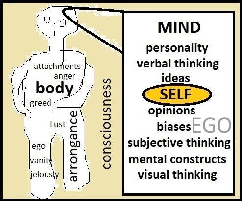 Transforming the Ego. Mindfulness is the art of quieting the… | by Siri ...